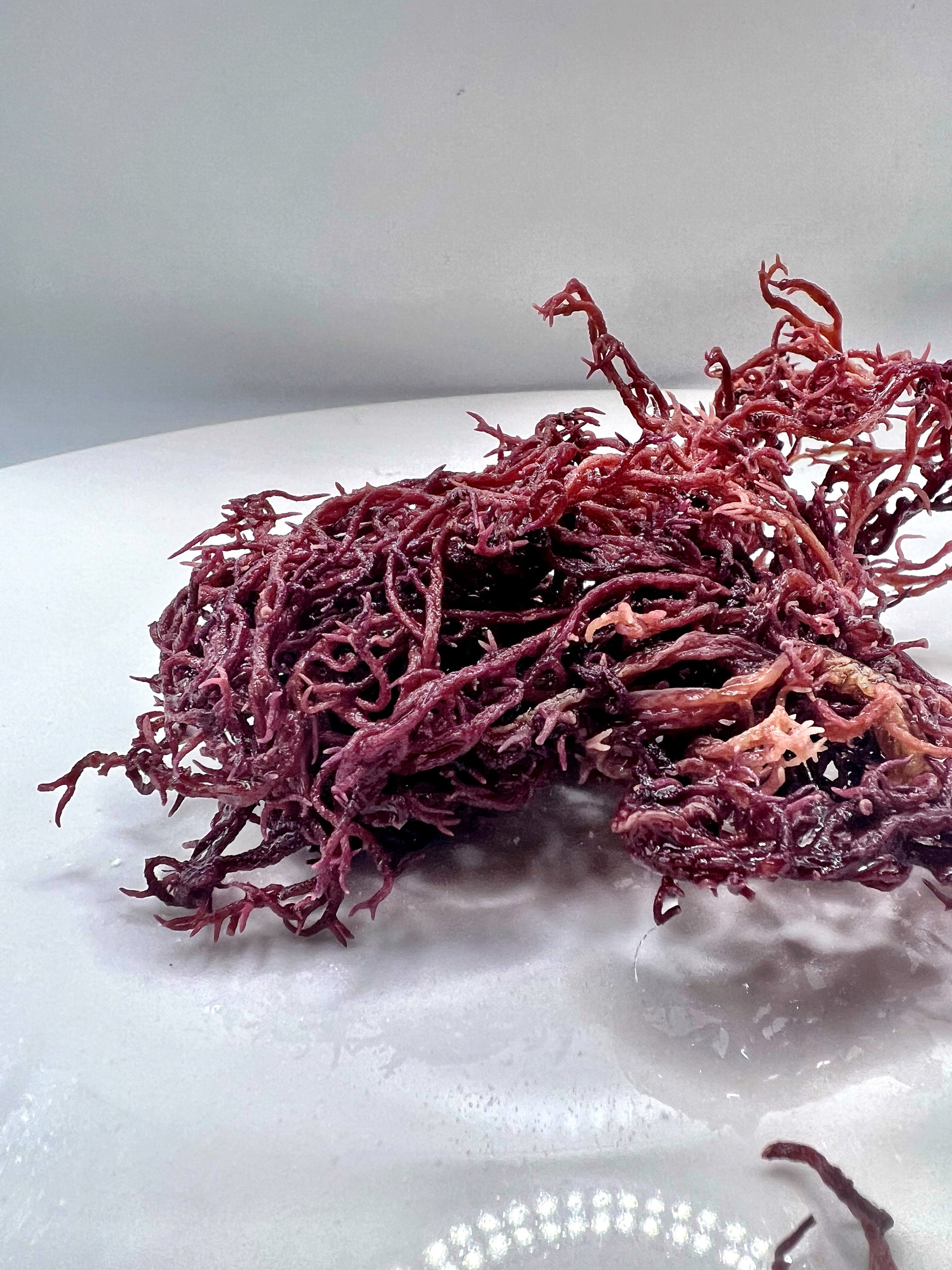Purple Sea Moss, Wildcrafted Sea Moss, Sea Moss Gel, St. Lucia Sea Moss ...