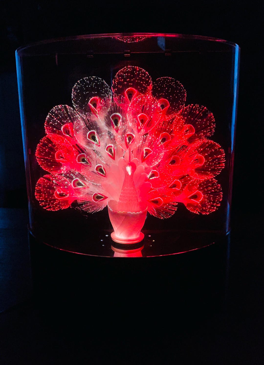 Vintage 13 Inch Fiber Optic Peacock Light, Color-changing Peacock Lamp ...