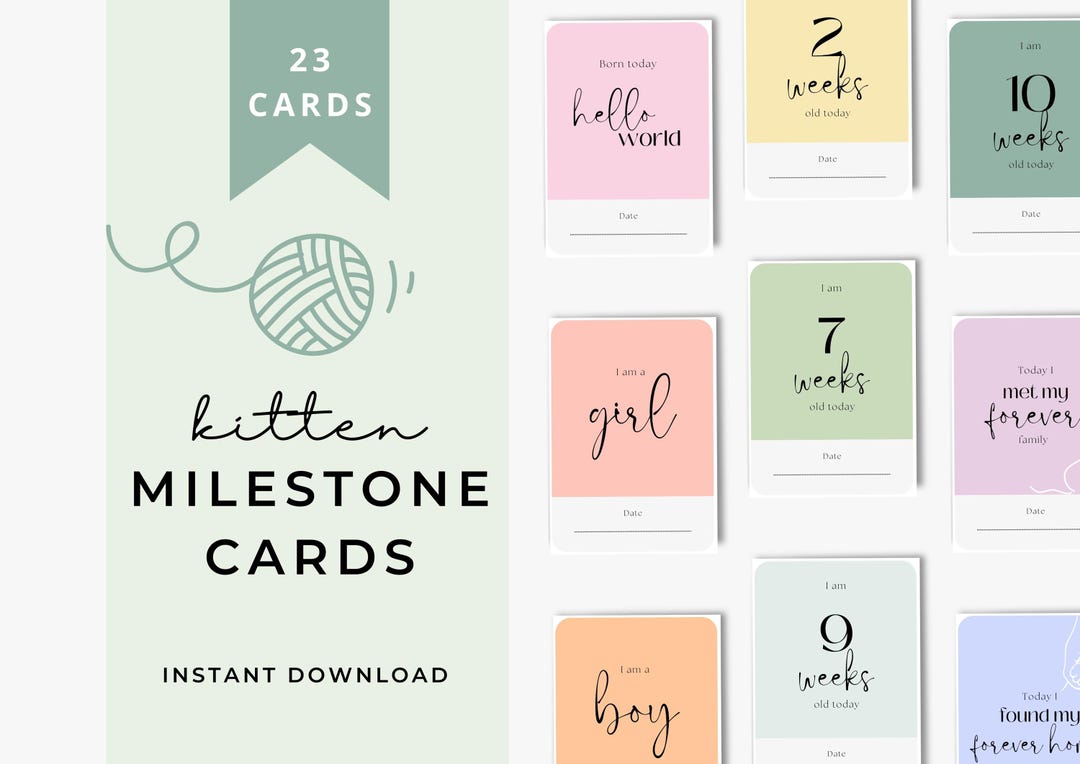Kitten Milestone Cards: First 12 Weeks Photo Props (PDF) - Etsy