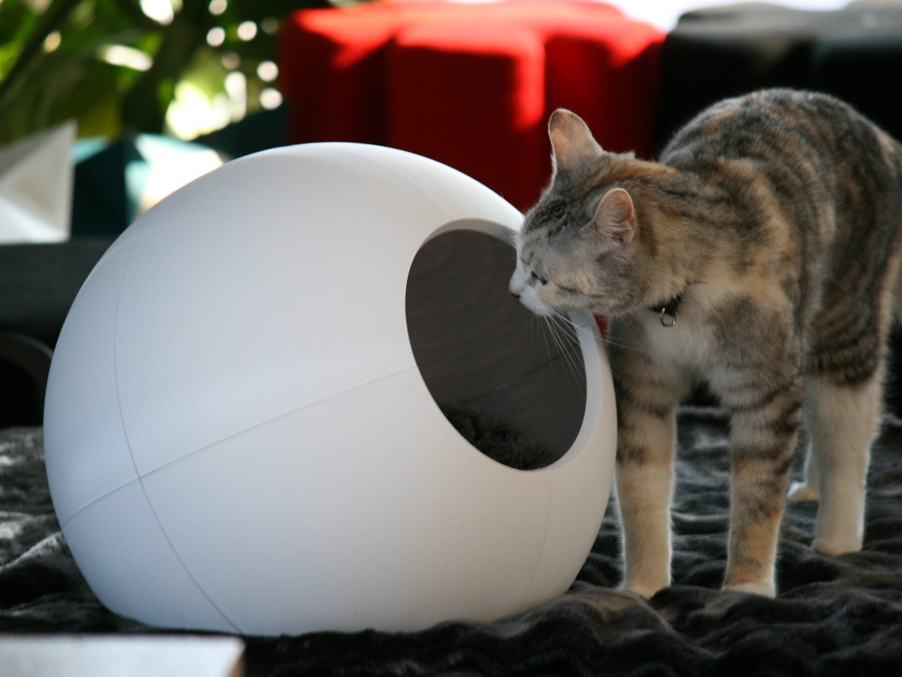 Sphere Cat House, Digital File for 3D Printing - Etsy