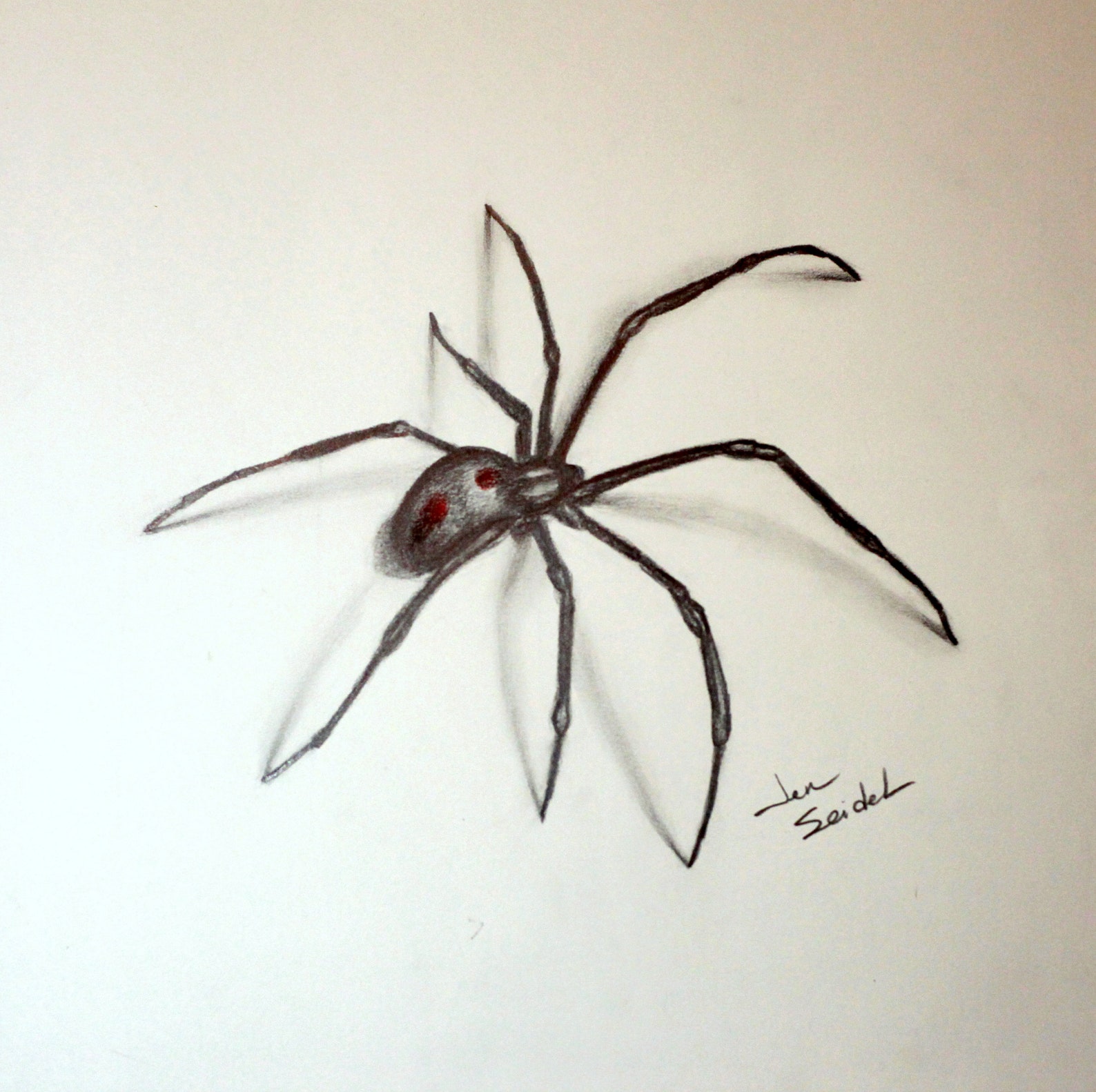 SPIDER - Etsy
