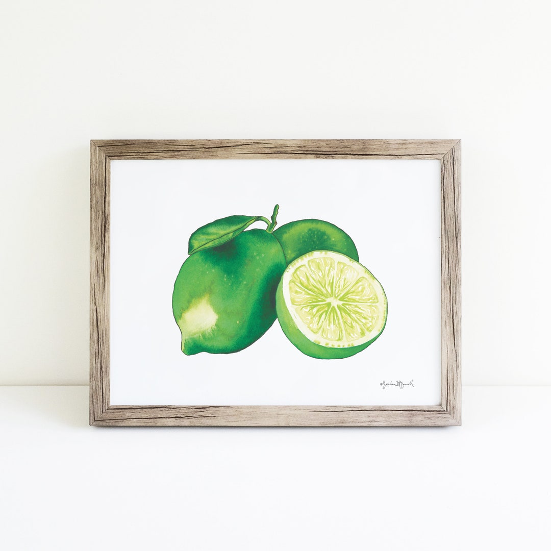 Lime Limes Watercolor Art Print Fruit Painting Florida Keys Citrus ...