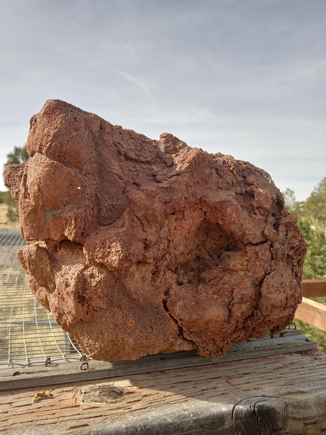 12lb Porous Red Rock, Large Pocket Bonsai, Terrarium, Fish Tank Rock ...