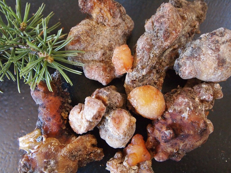 1 Oz Pinon Sap Pine Sap Natural Tree Sap Rosin Pine Pitch - Etsy Canada