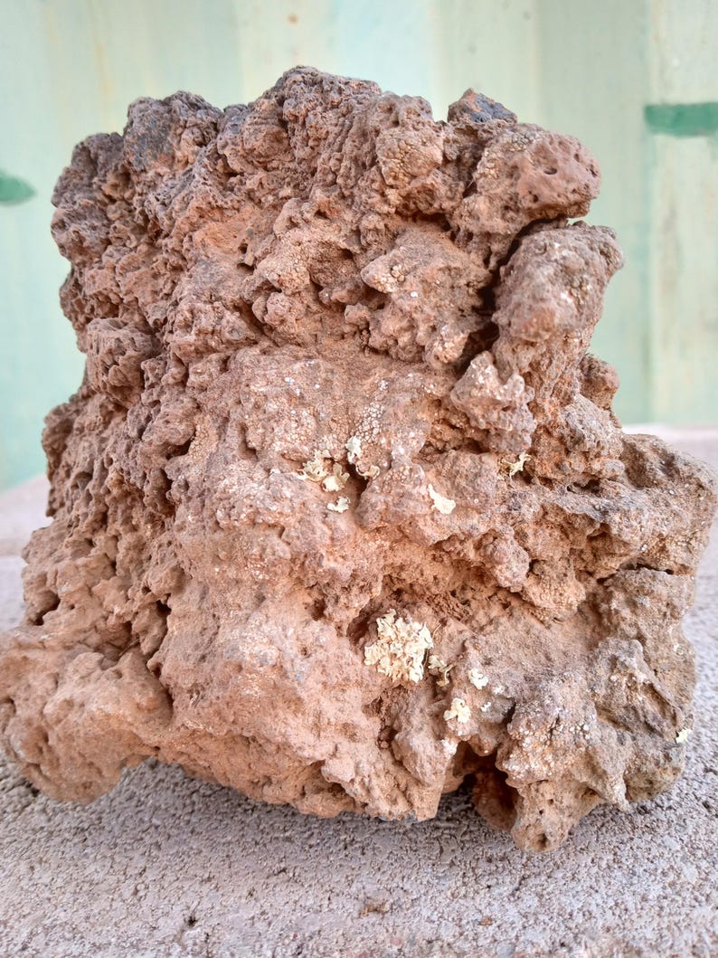 Porous Volcanic Lava Rock for Aquarium and Bonsai Terrarium Decor (5"x5 ...