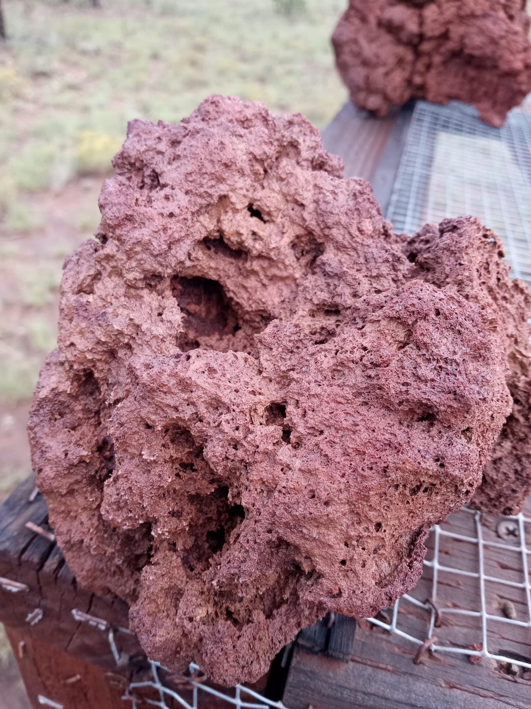 Fish Ornament, Porous One Piece Lava Rock, Succulent Rock, Aquarium ...