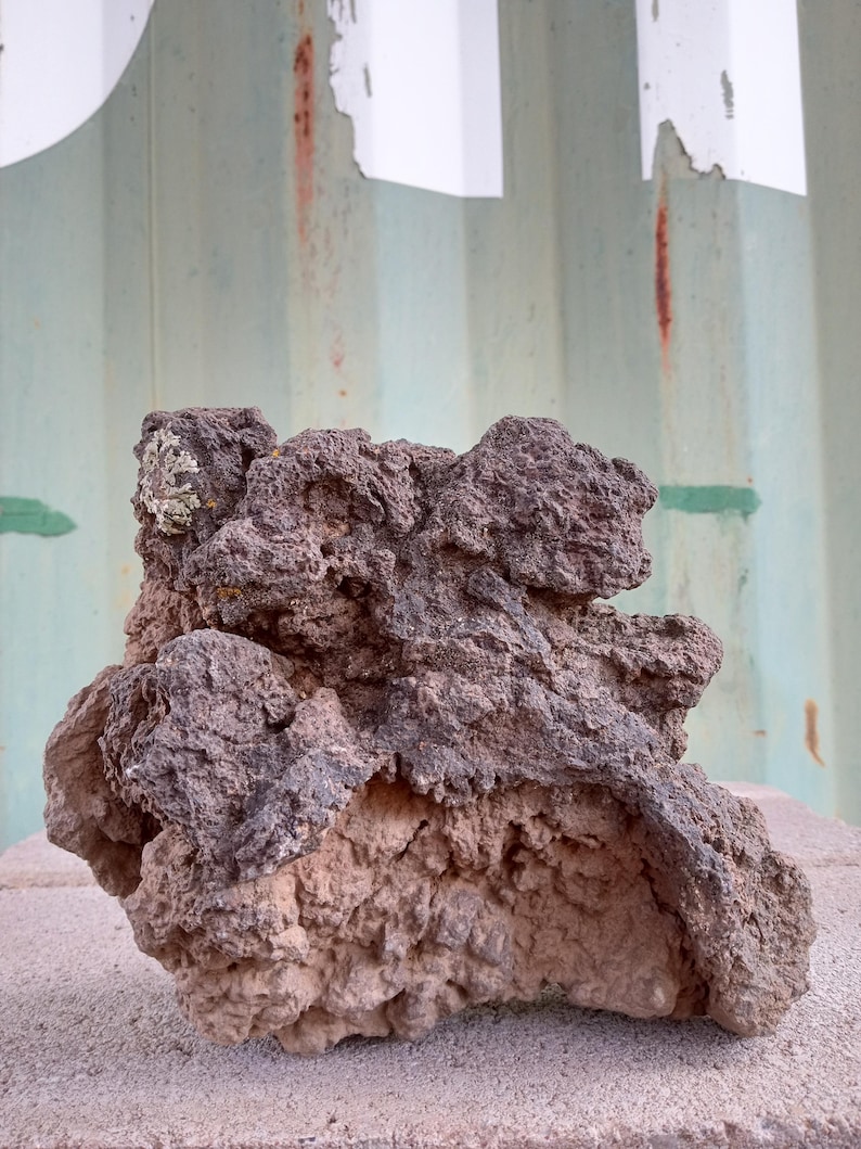 Natural Lava Rock Decor, Porous Volcanic Stone for Terrarium, Aquarium ...