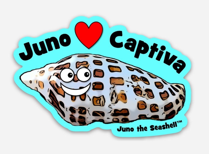 Juno Loves Captiva Sticker - Juno the Seashell® - Etsy