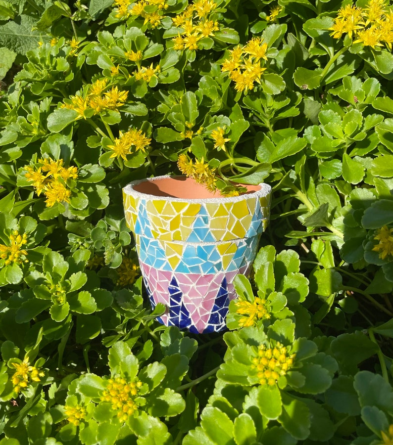 Small Colorful Triangular Pot 3.5 Inches - Etsy