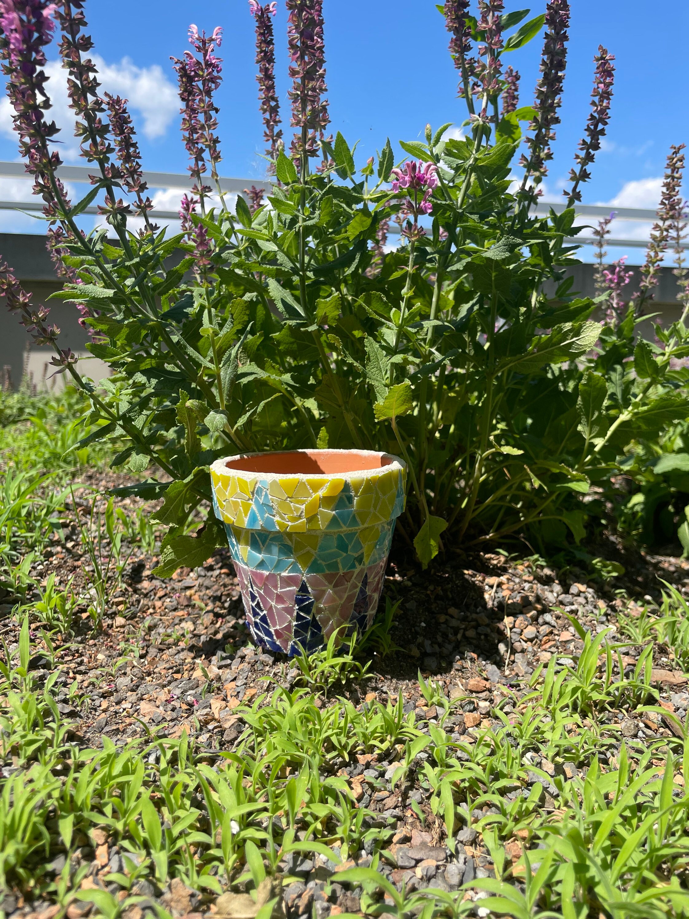 Small Colorful Triangular Pot 3.5 Inches - Etsy