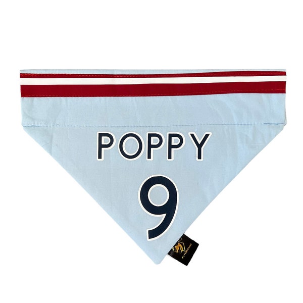 Man City Dog Collar - Etsy