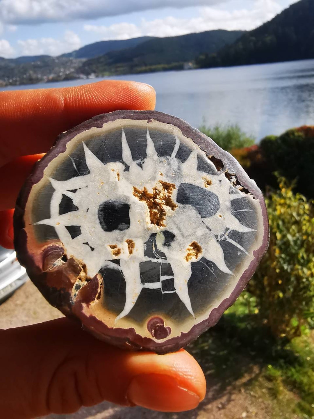 Septaria, Dragon Stone, Minerals, Morocco, Geode, Lithotherapy ...