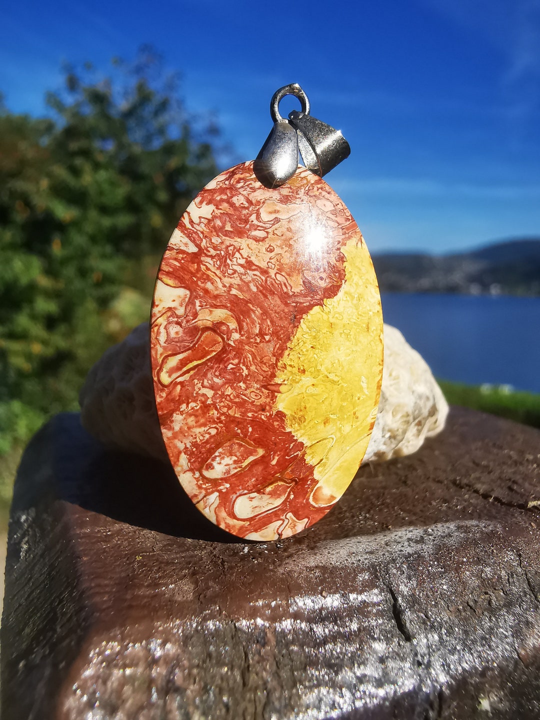 Petrified Bamboo, Pendant, 3.8cm, Unique Series, Natural Color, Origin ...