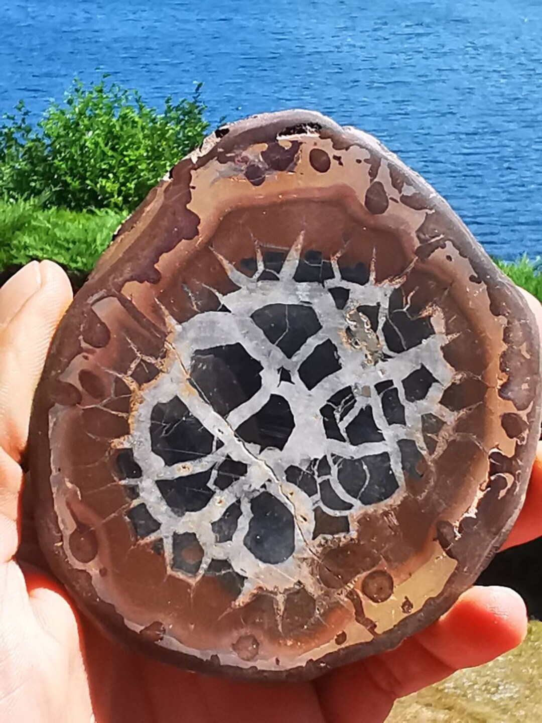 Septaria With Pyrite, Large Size, Septaria Stone, Minerals, Morocco ...