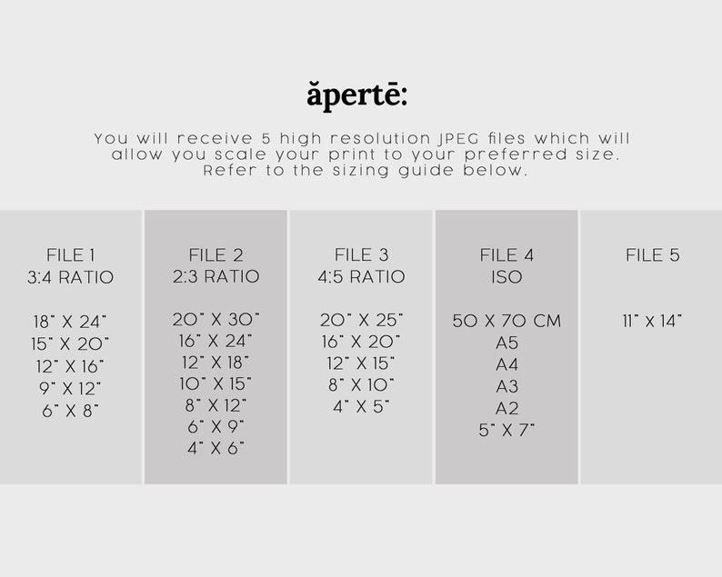 The Book Thief Quote / Markus Zusak / Literature Typography Calligraphy ...