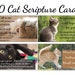 10 Cat Printable Scripture Cards -C2- INSTANT DOWNLOAD, Kitten Cat ...