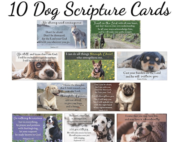10 Dog Printable Scripture Cards C1 INSTANT DOWNLOAD Cute - Etsy