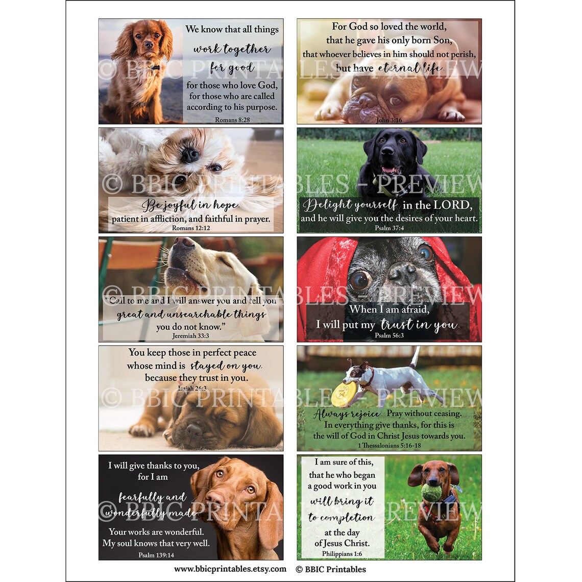 10 Dog Printable Scripture Cards C2 INSTANT DOWNLOAD, Cute Dog Puppy ...