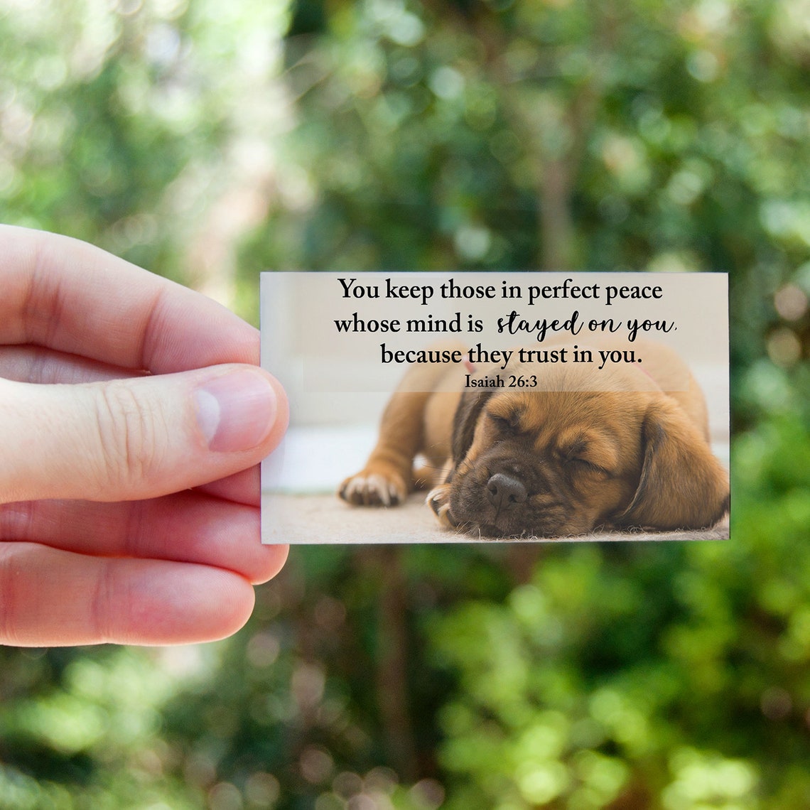 10 Dog Printable Scripture Cards C2 INSTANT DOWNLOAD, Cute Dog Puppy ...