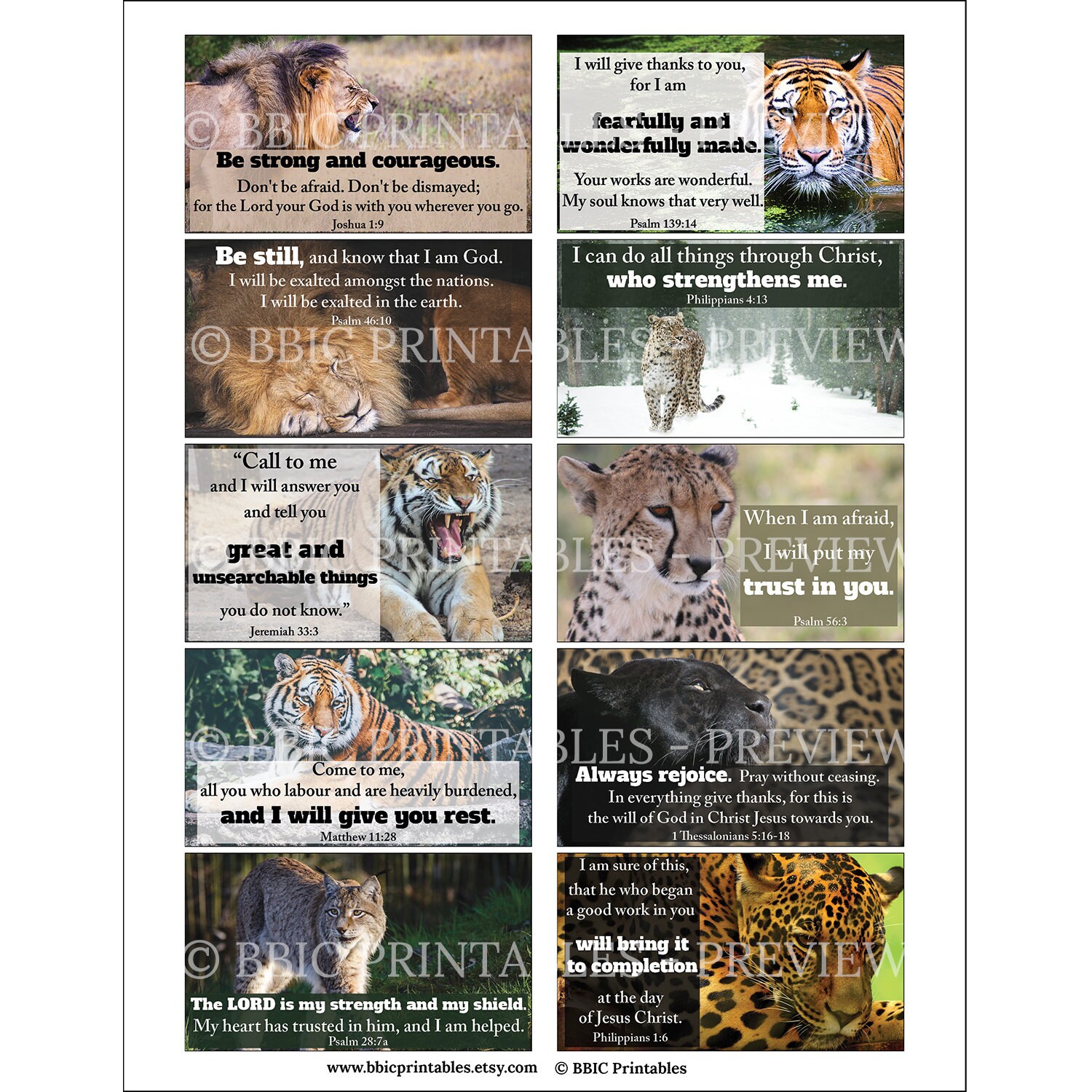 10 Wild Cat Printable Scripture Cards -C1- INSTANT DOWNLOAD, Tiger Lion ...