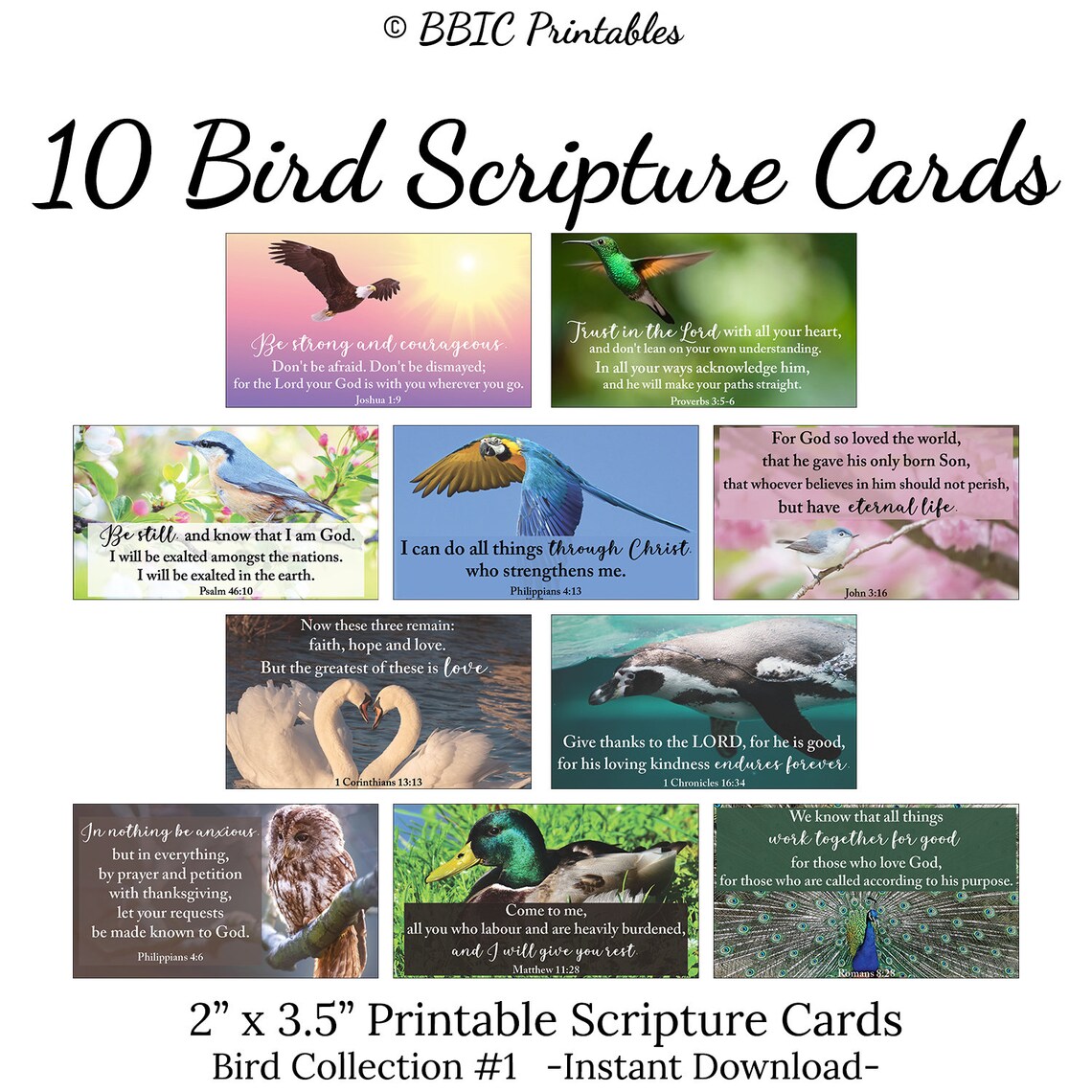 10 Bird Printable Scripture Cards C1 INSTANT DOWNLOAD, Assorted Bird ...