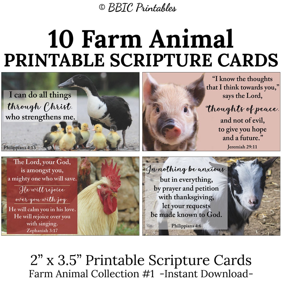 10 Farm Animal Printable Scripture Cards -C1- INSTANT DOWNLOAD, Farm ...