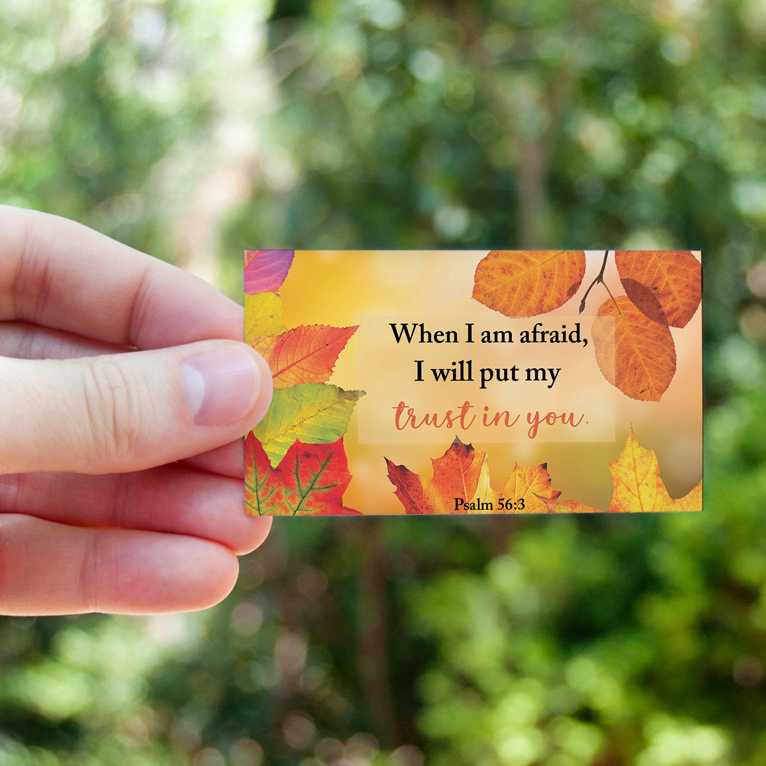 10 Autumn Fall Printable Scripture Cards -C2- INSTANT DOWNLOAD, Fall ...