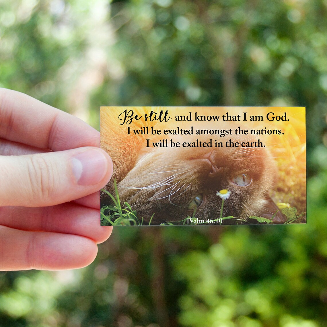 10 Cat Printable Scripture Cards collection 1 INSTANT DOWNLOAD, Kitten ...