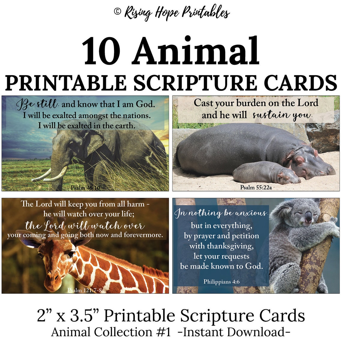 10 Animal Printable Scripture Cards C1 INSTANT DOWNLOAD - Etsy