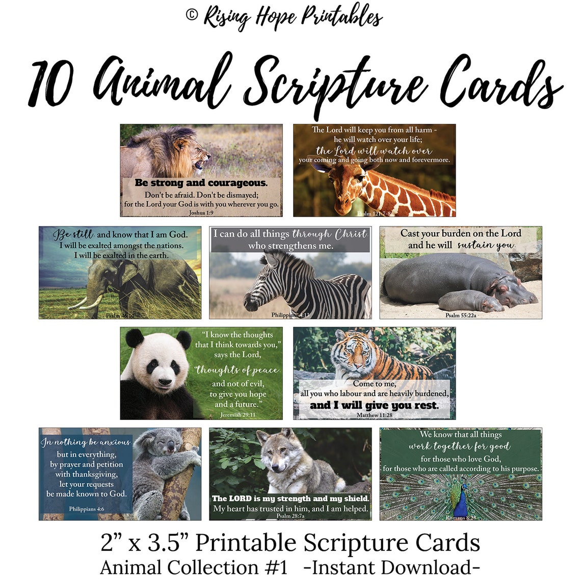 10 Animal Printable Scripture Cards C1 INSTANT DOWNLOAD - Etsy