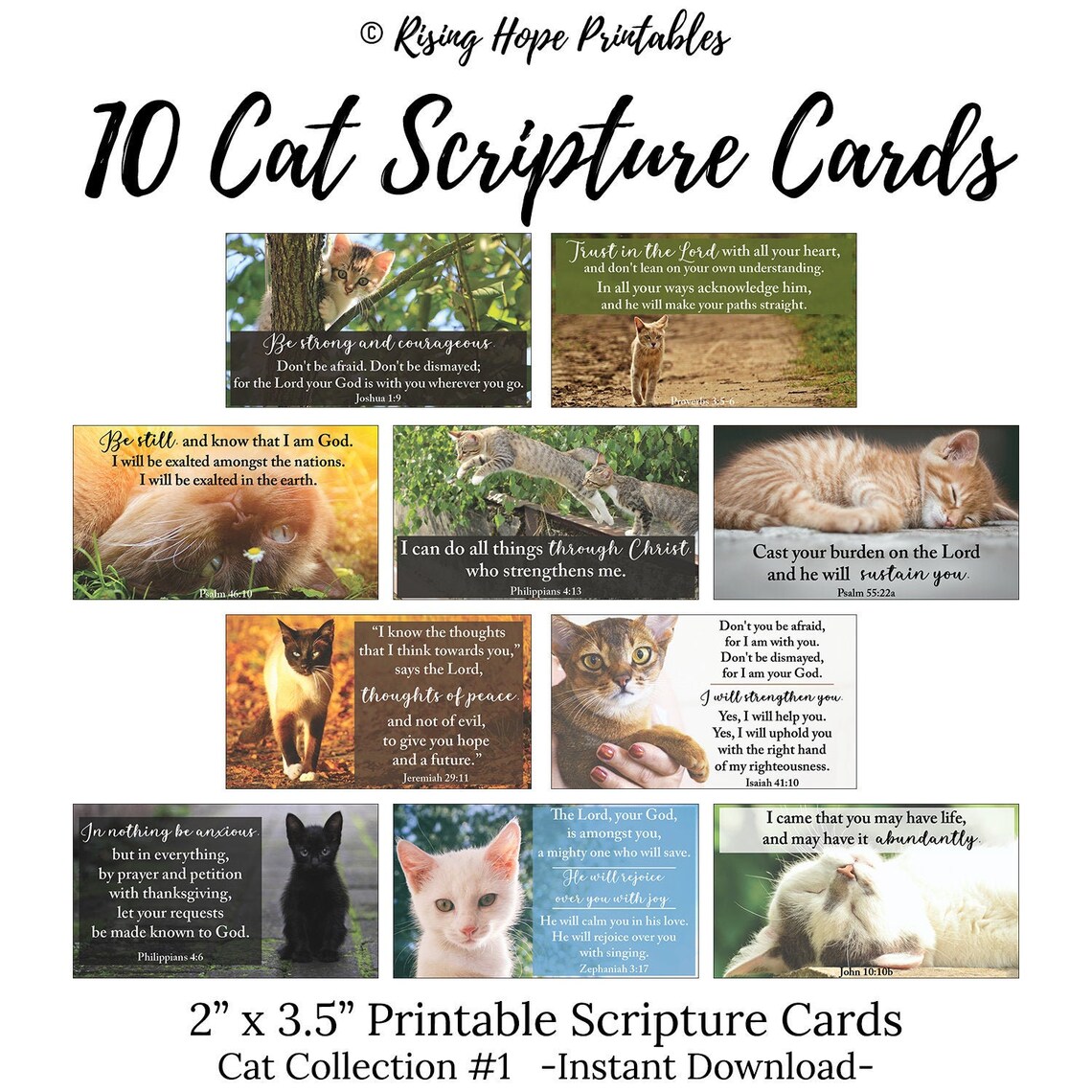 10 Cat Printable Scripture Cards collection 1 INSTANT DOWNLOAD, Kitten ...