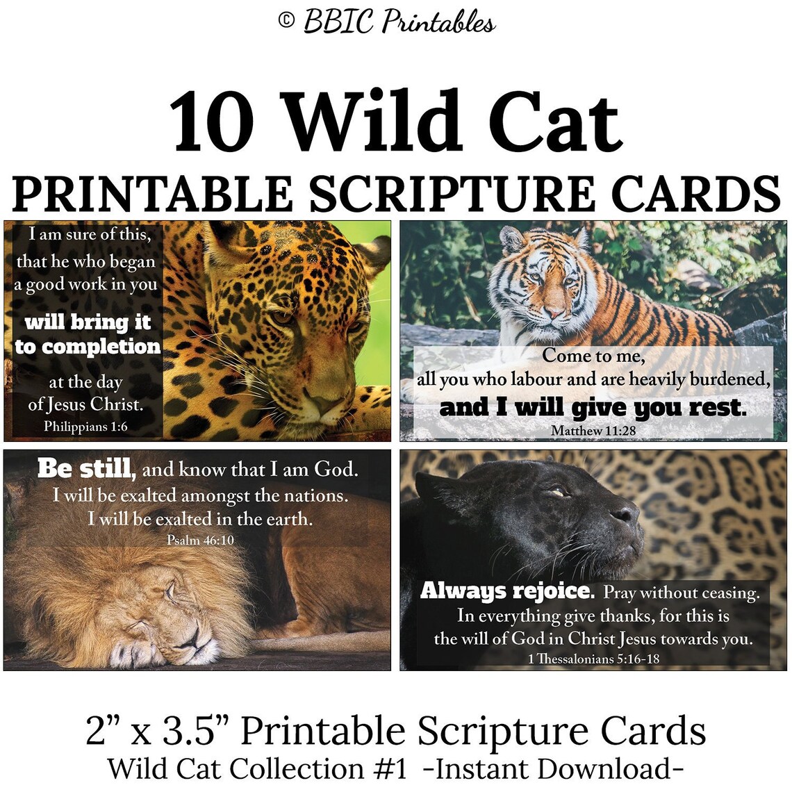 10 Wild Cat Printable Scripture Cards C1 INSTANT DOWNLOAD, Tiger Lion ...