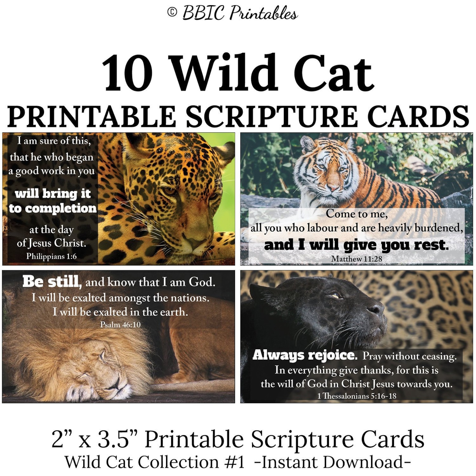 10 Wild Cat Printable Scripture Cards -C1- INSTANT DOWNLOAD, Tiger Lion ...