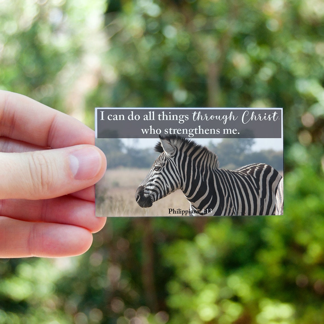 10 Animal Printable Scripture Cards C1 INSTANT DOWNLOAD - Etsy