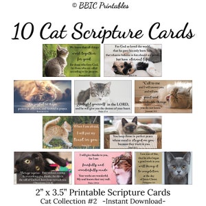 10 Cat Printable Scripture Cards -C2- INSTANT DOWNLOAD, Kitten Cat ...