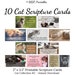 10 Cat Printable Scripture Cards -C2- INSTANT DOWNLOAD, Kitten Cat ...