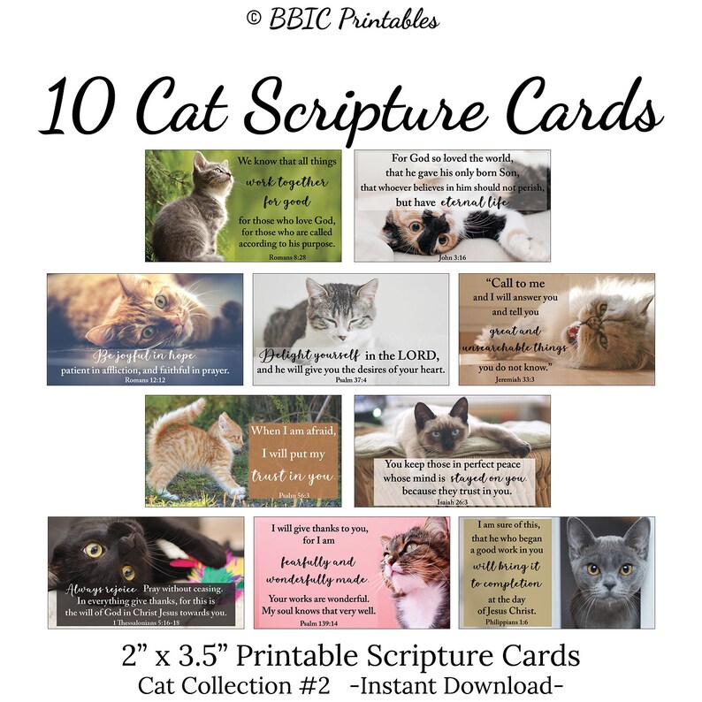 10 Cat Printable Scripture Cards -C2- INSTANT DOWNLOAD, Kitten Cat ...