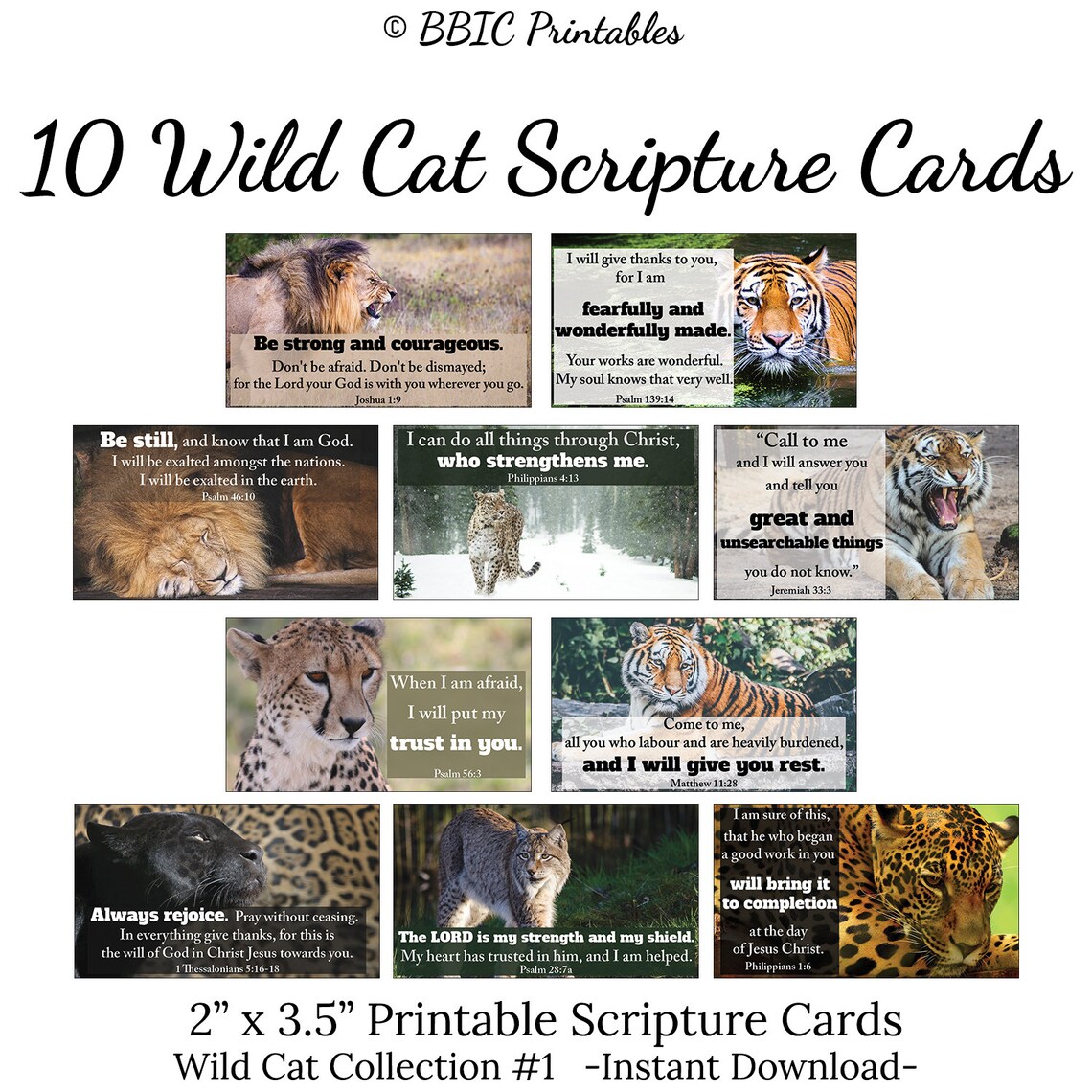 10 Wild Cat Printable Scripture Cards C1 INSTANT DOWNLOAD, Tiger Lion ...