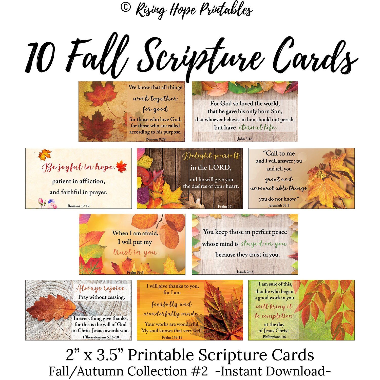 10 Autumn Fall Printable Scripture Cards -C2- INSTANT DOWNLOAD, Fall ...