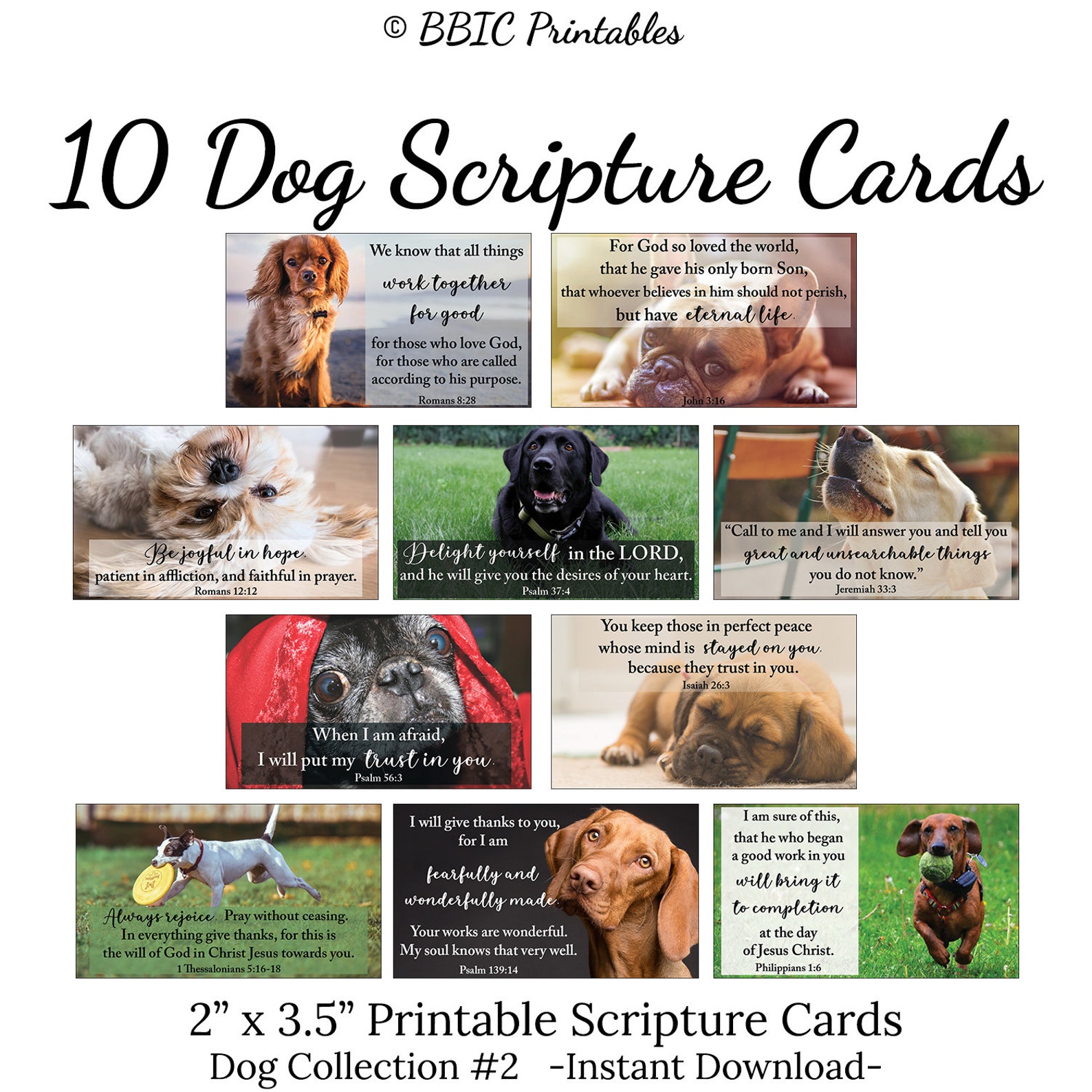 10 Dog Printable Scripture Cards C2 INSTANT DOWNLOAD, Cute Dog Puppy ...