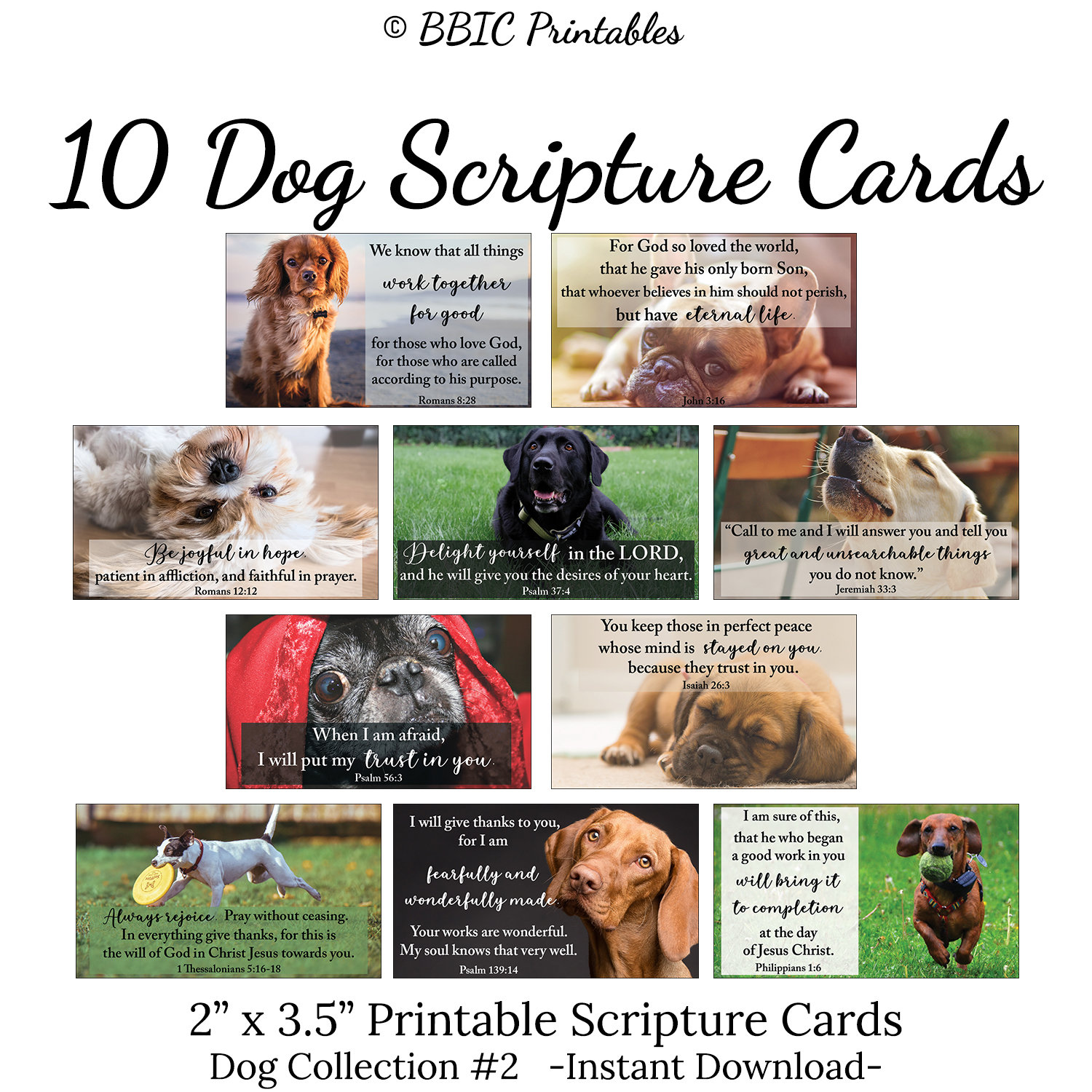 10 Dog Printable Scripture Cards C2 INSTANT DOWNLOAD, Cute Dog Puppy ...