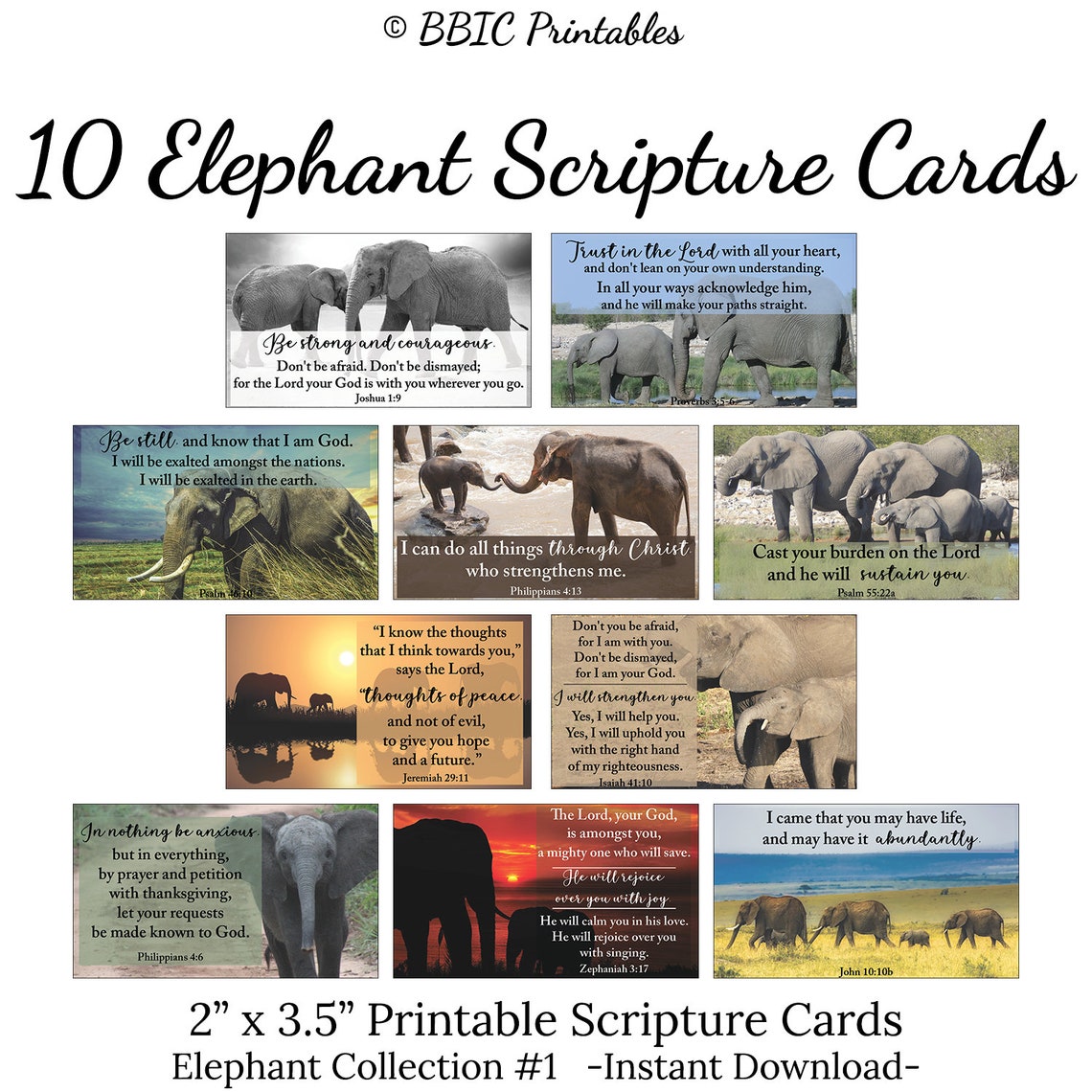 10 Elephant Printable Scripture Cards -C1- INSTANT DOWNLOAD, Elephant ...