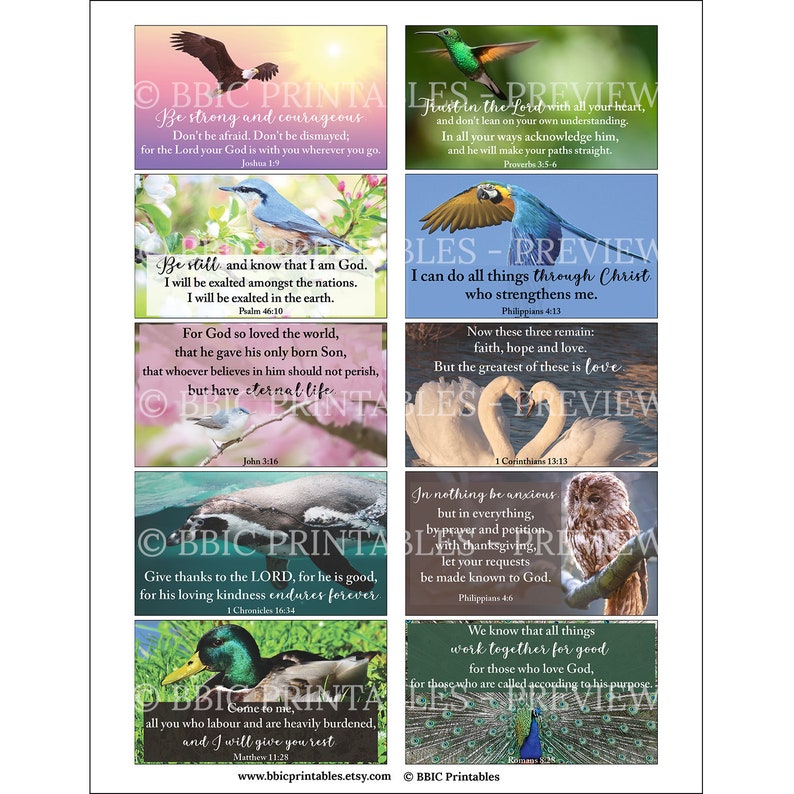 10 Bird Printable Scripture Cards -#C1- INSTANT DOWNLOAD, Assorted Bird ...