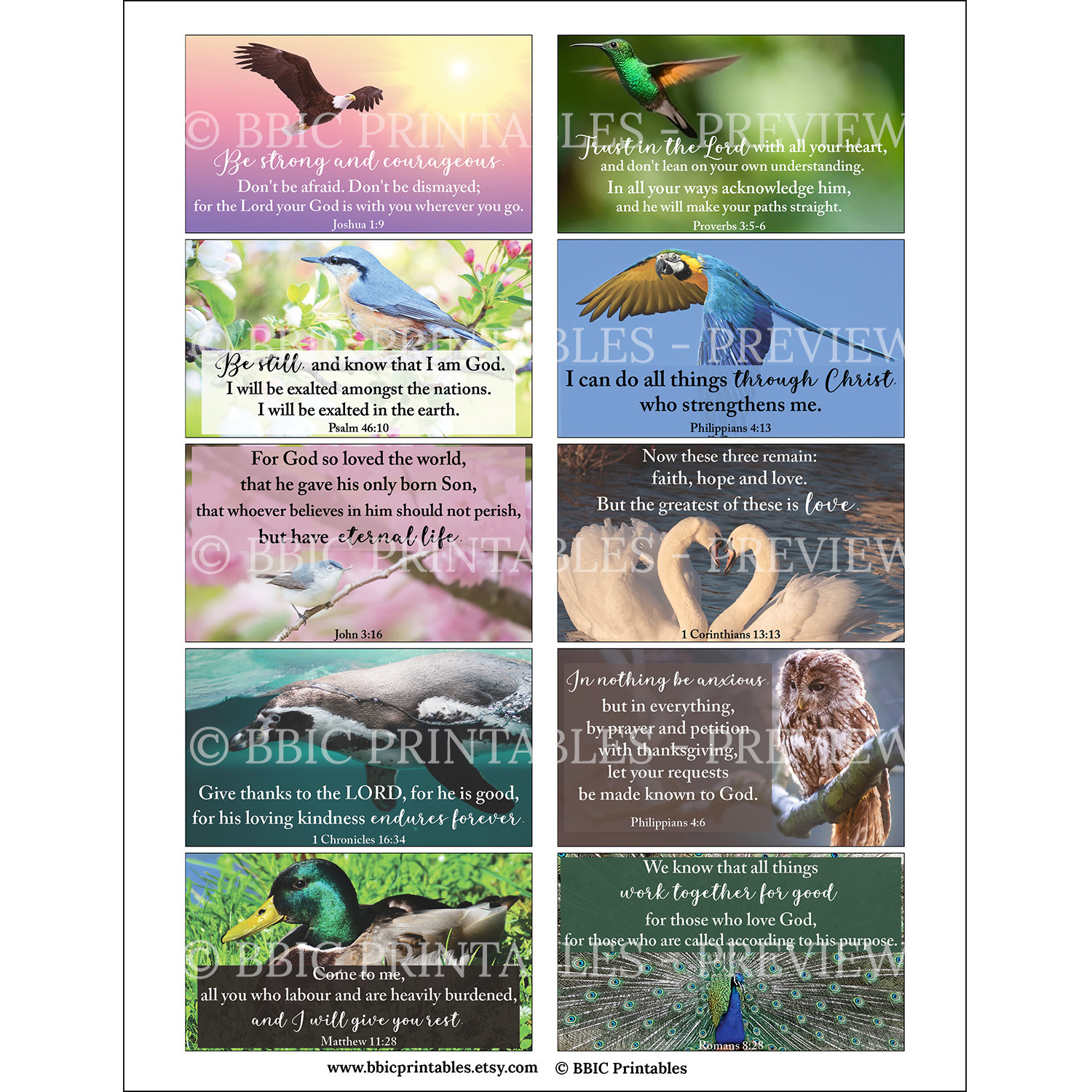 10 Bird Printable Scripture Cards C1 INSTANT DOWNLOAD, Assorted Bird ...