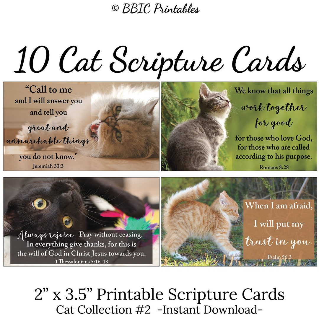 10 Cat Printable Scripture Cards -C2- INSTANT DOWNLOAD, Kitten Cat ...