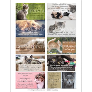 10 Cat Printable Scripture Cards -C2- INSTANT DOWNLOAD, Kitten Cat ...