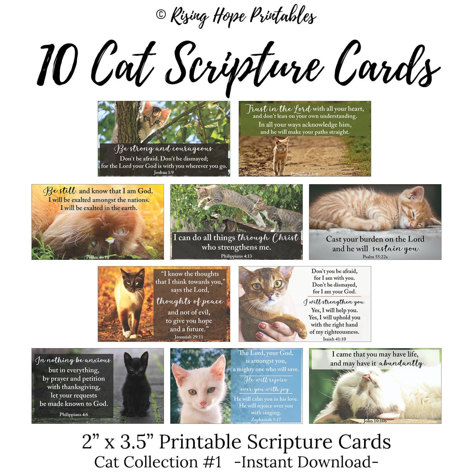 10 Cat Printable Scripture Cards -collection #1- INSTANT DOWNLOAD ...