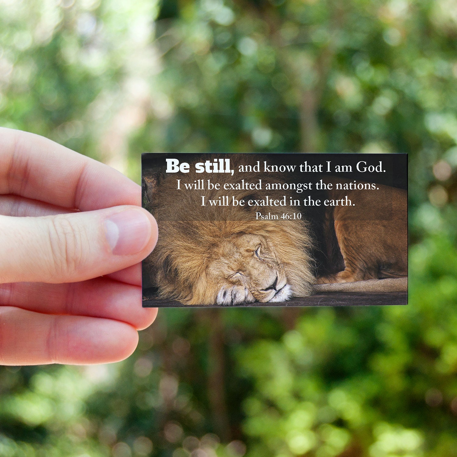 10 Wild Cat Printable Scripture Cards -C1- INSTANT DOWNLOAD, Tiger Lion ...
