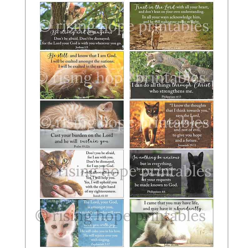 10 Cat Printable Scripture Cards -collection #1- INSTANT DOWNLOAD ...