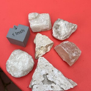 Calcium Carbonate Rock Variety Pack: Calcite Rhombs, Limestone, and ...